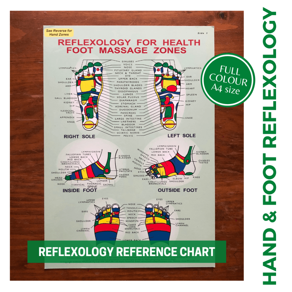 Reflexology Guide Large
