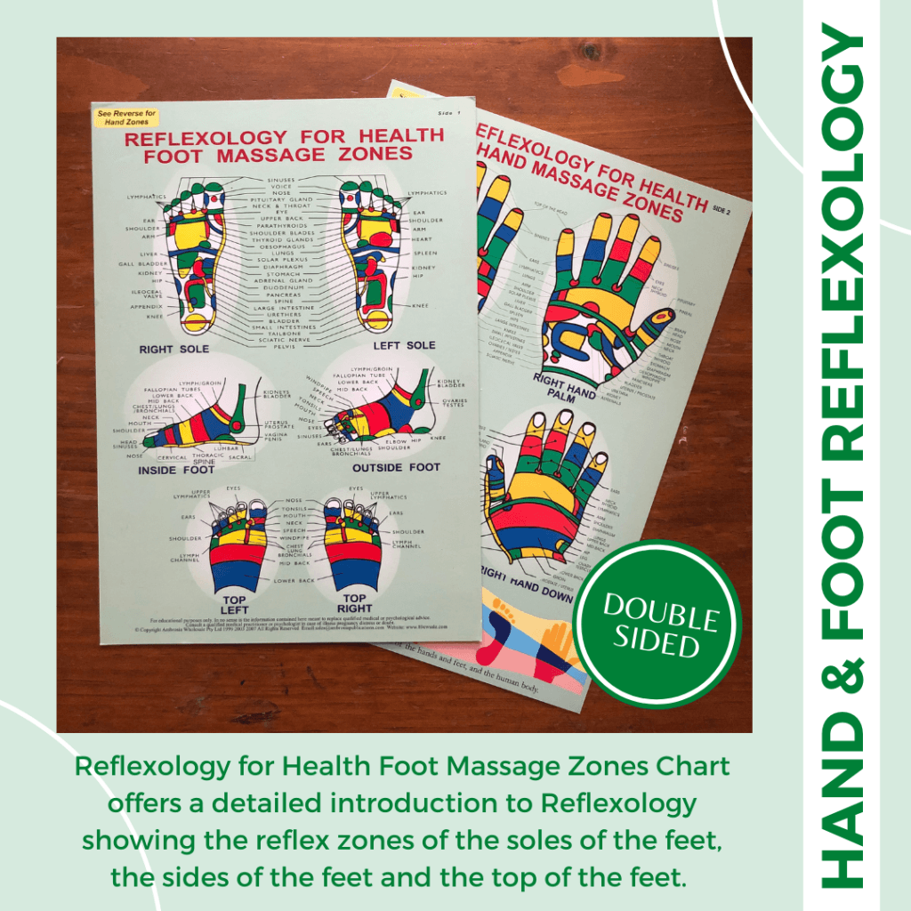Reflexology Guide Large - Ambrosia Flair